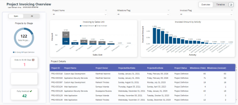 ERP Projects view dashboard | Metricalist